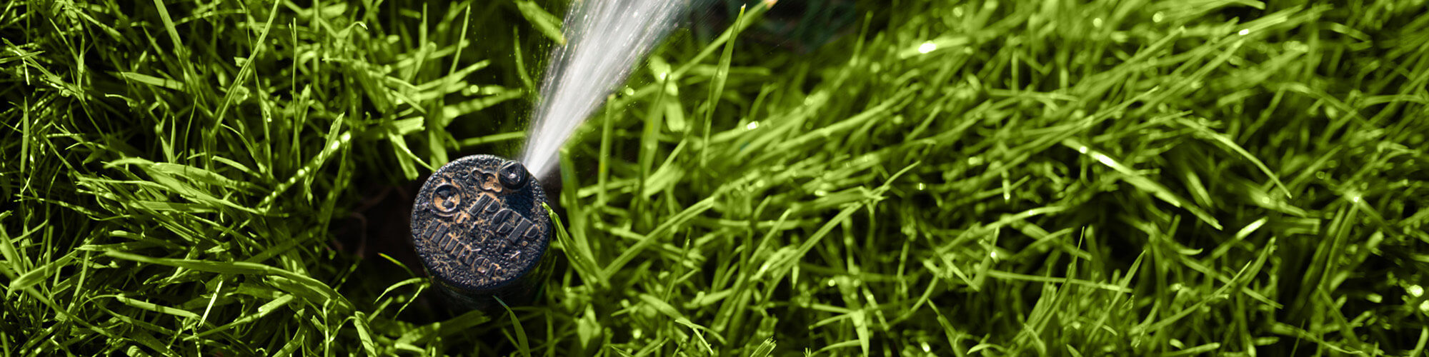 Ecosystems | Warranties