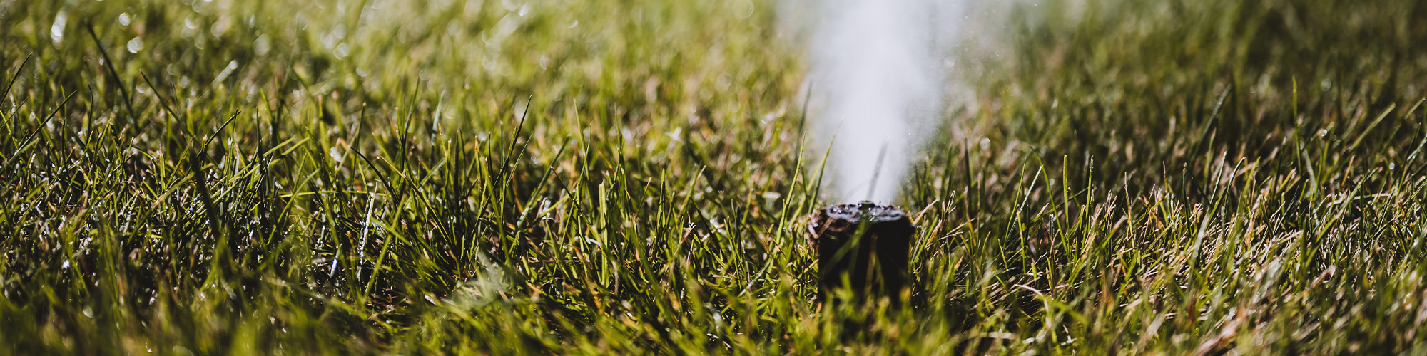 Ecosystems | Fall Winterization