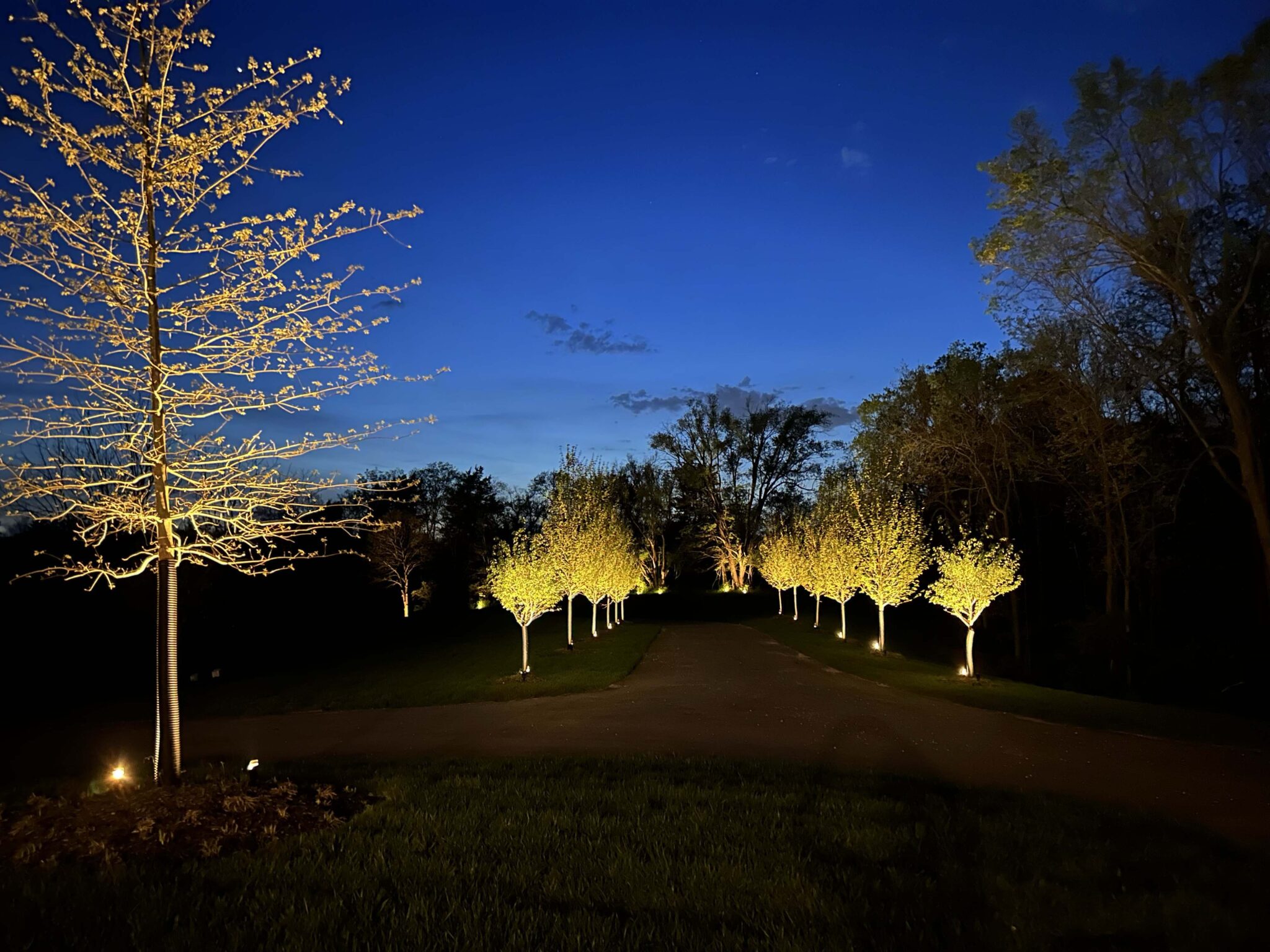 Outdoor Lighting Installation in Omaha, NE